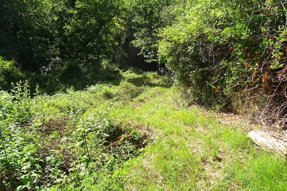 vente Villa - Propriété de 5000 m2 et 2 constructions à rénover, eau de ...